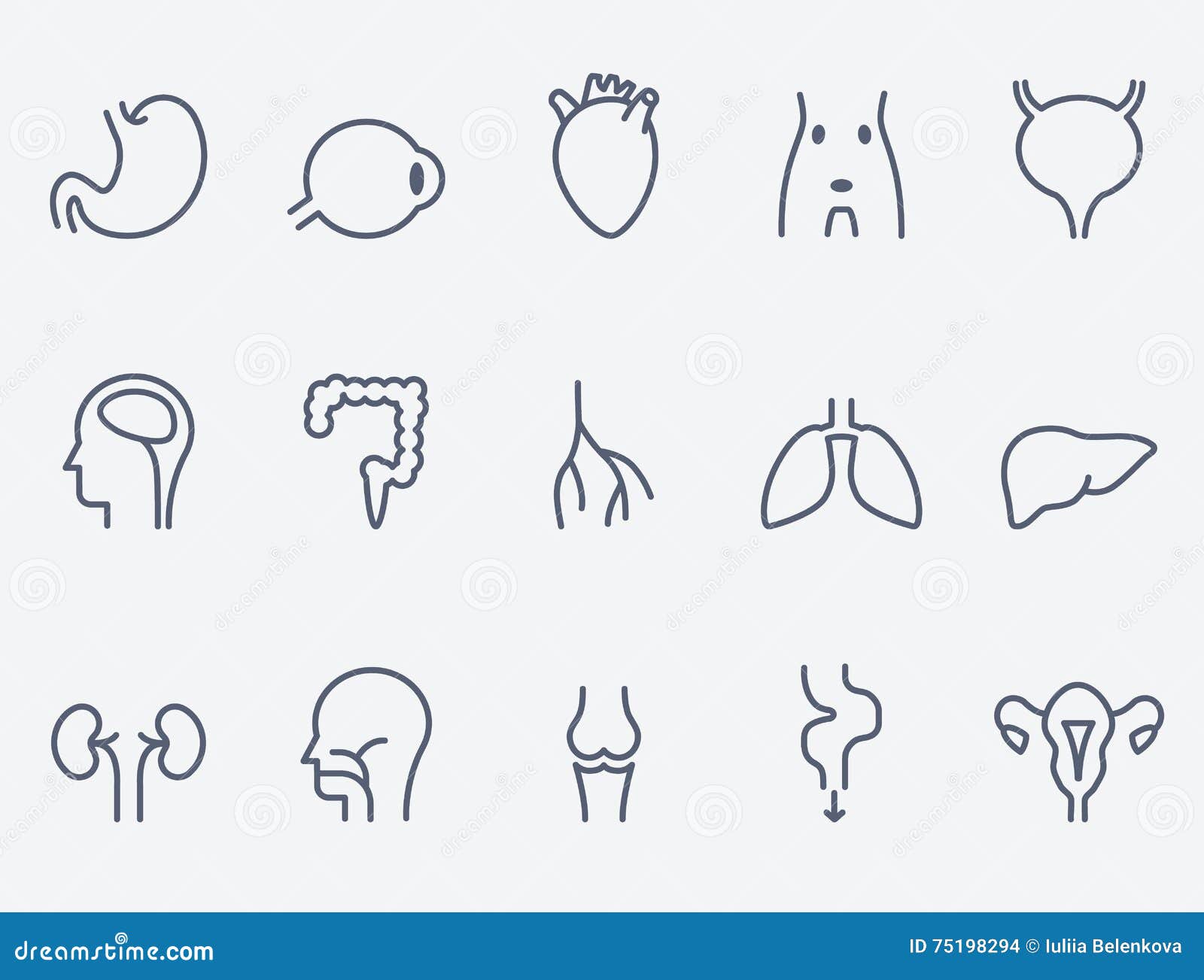 Proctology Icon Stock Illustrations – 53 Proctology Icon Stock ...