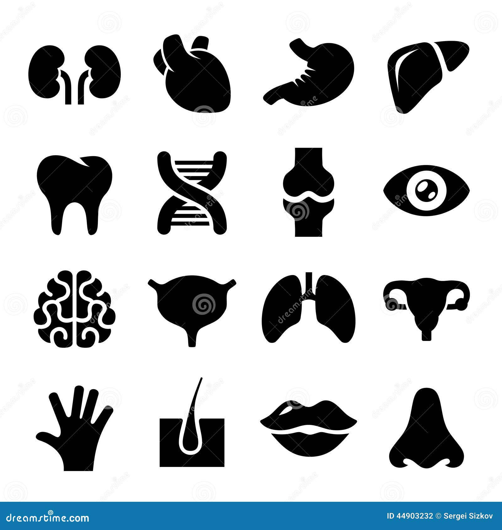Human Organs Icons Set Vector Stock Vector Illustration Of Digestive