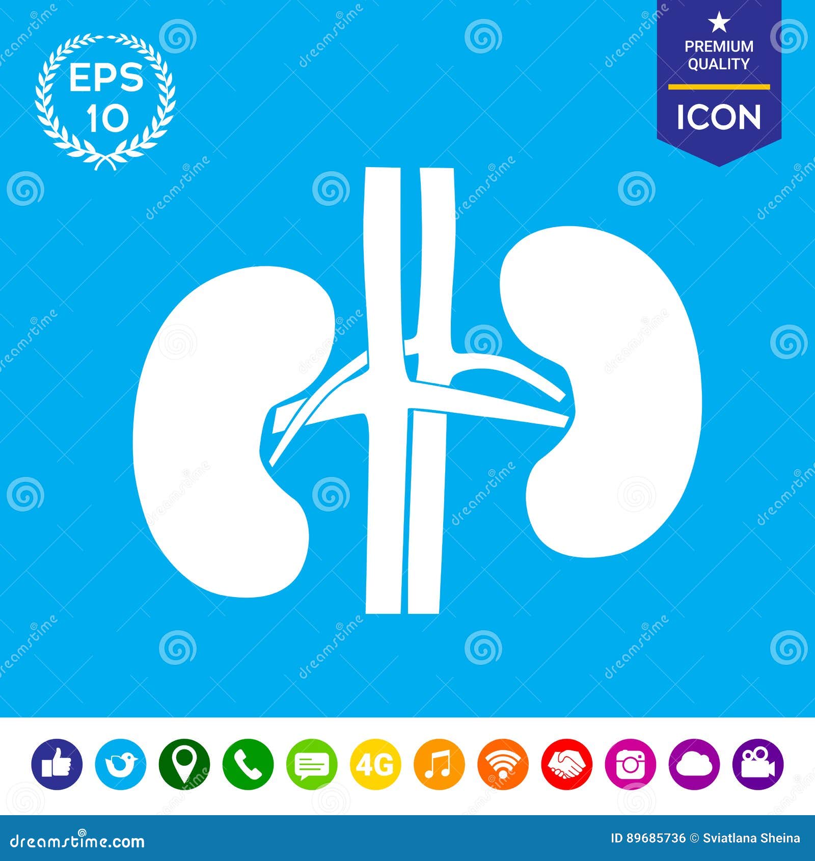 Human organs. Kidney icon stock illustration. Illustration of renal ...