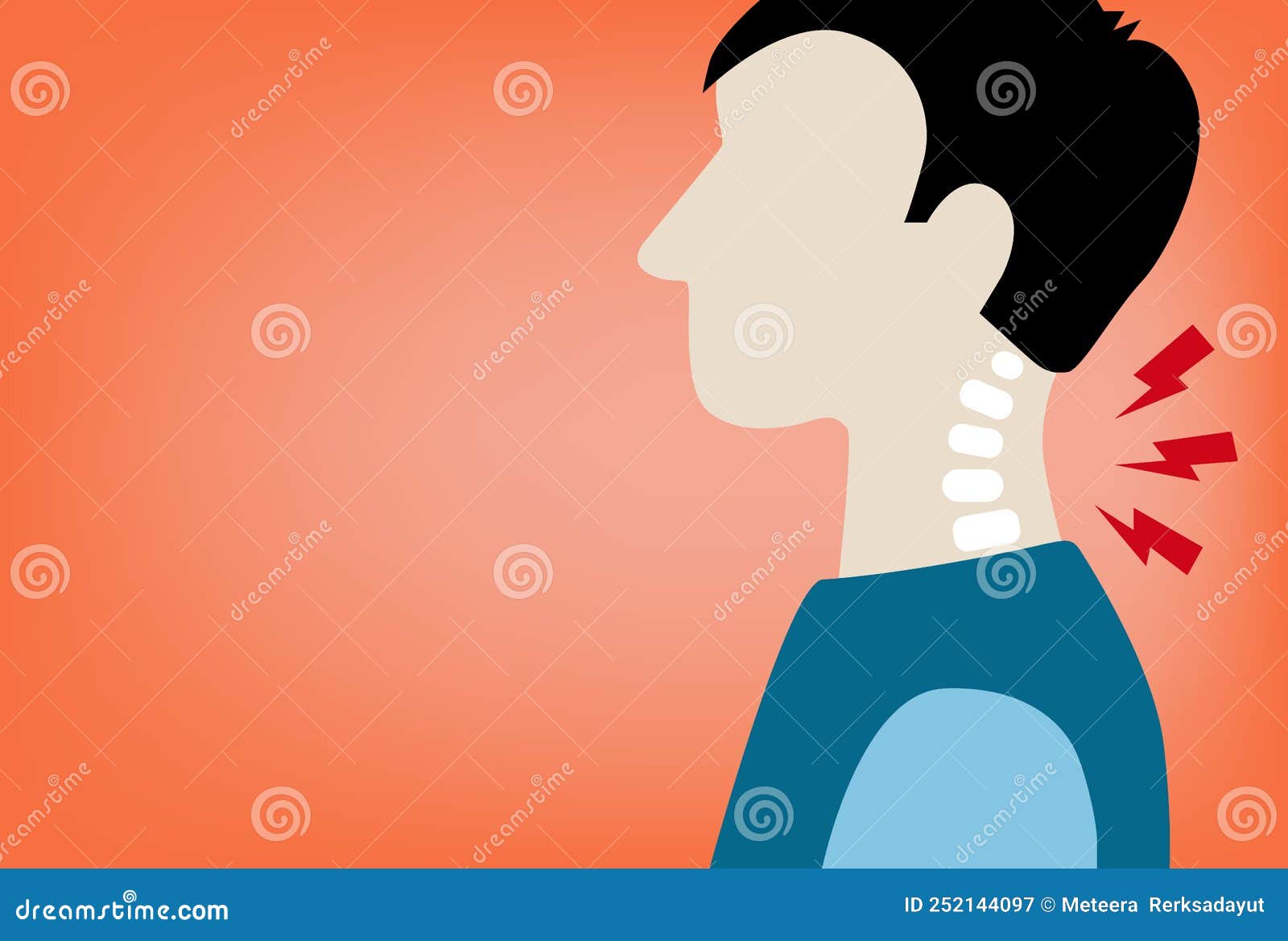 Human Organs: The Neck And Shoulder Pain Problem Stock Image ...