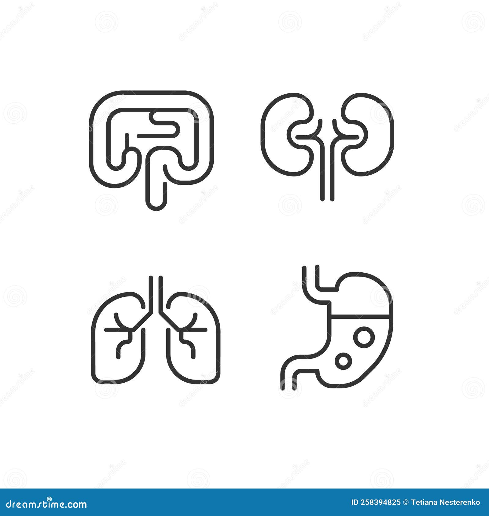 Human Organs Pixel Perfect Linear Icons Set Stock Vector - Illustration ... Human Organs Pixel Perfect Linear Icons Set Stock Vector - Illustration ...