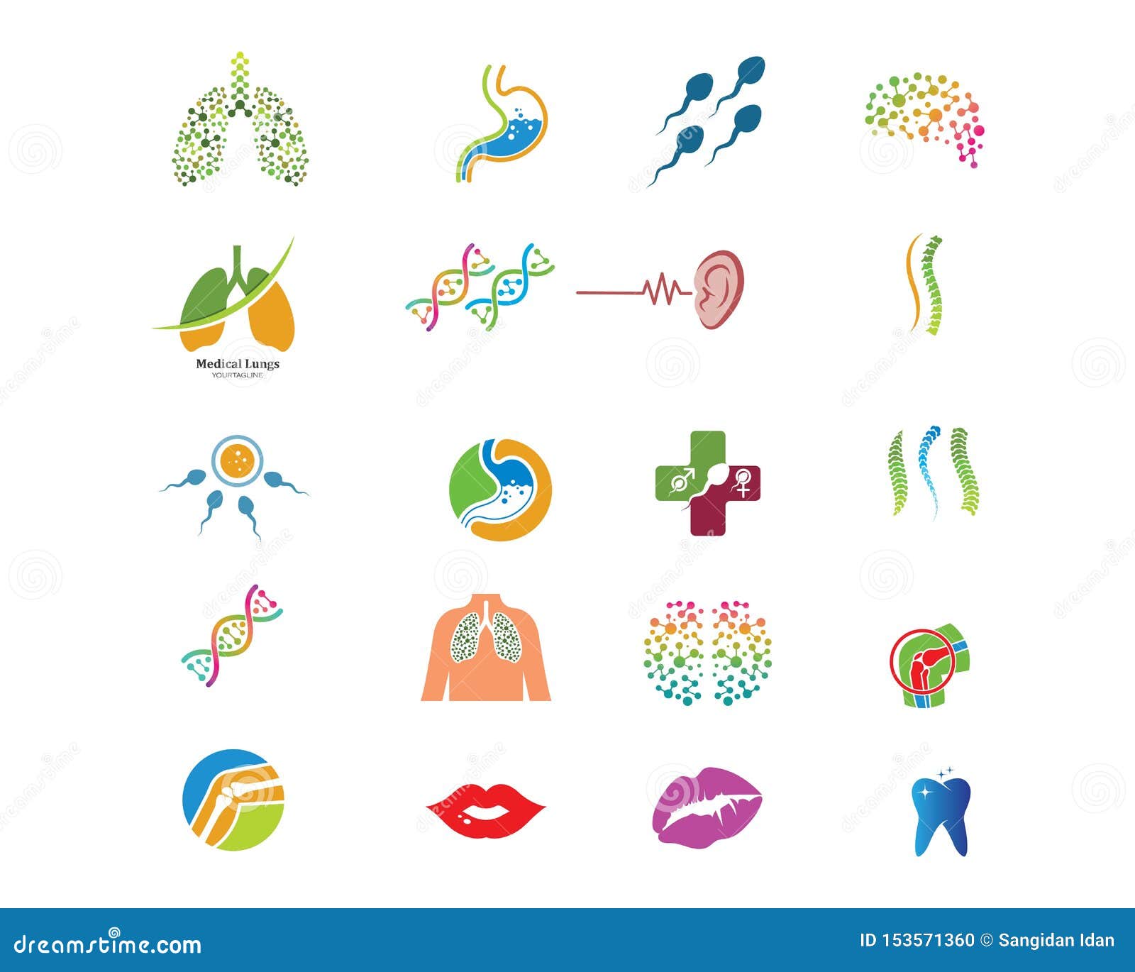 Human Organs Set Element Icon Vector Illustration Stock Vector ...