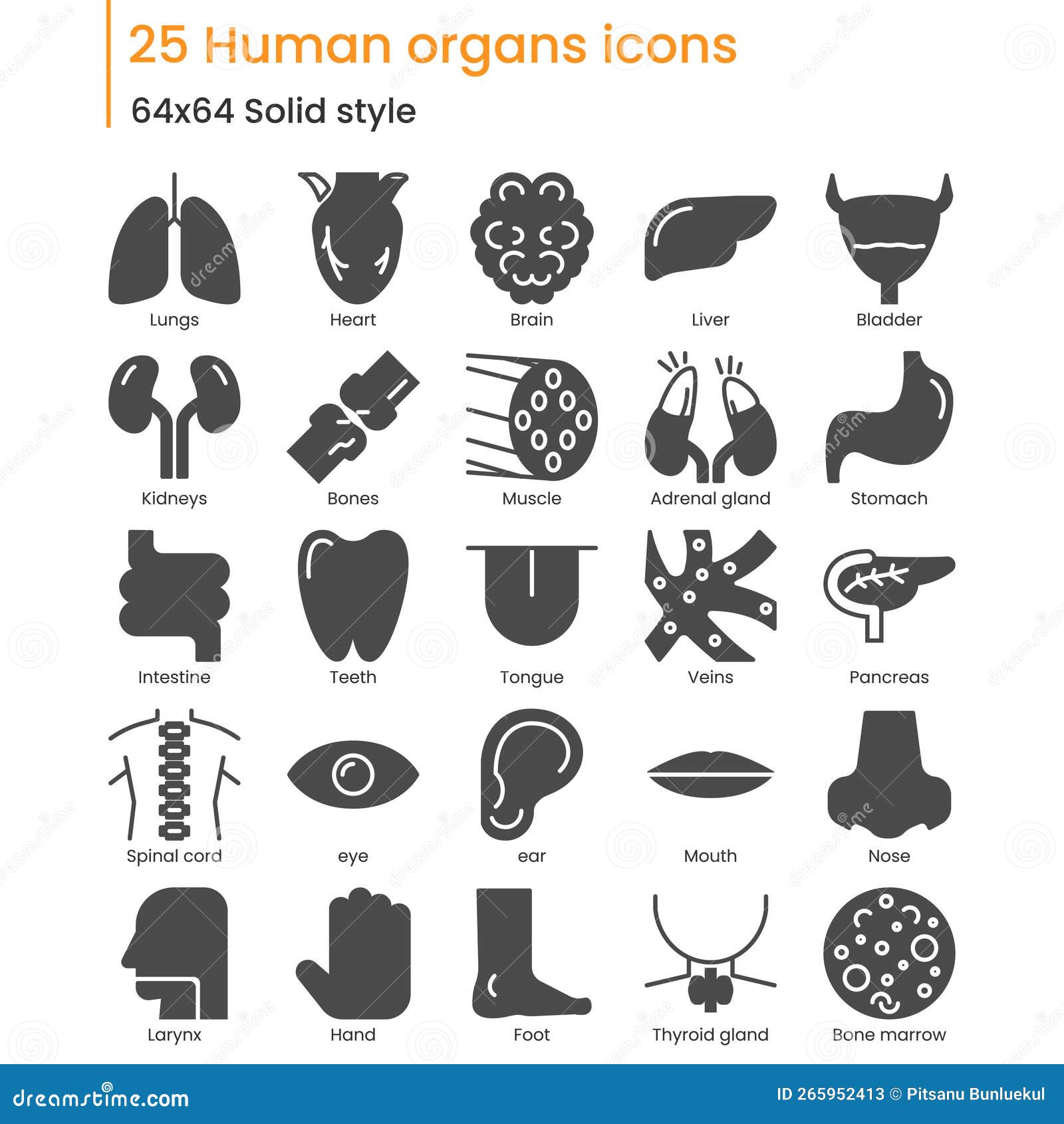 25 Human Organs Solid Icons Stock Vector - Illustration of liver ...