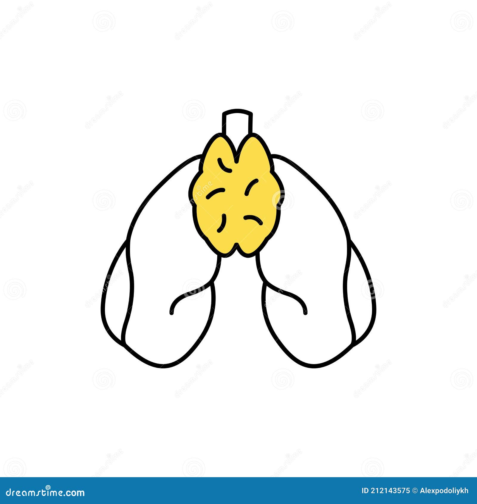 Human Organs Thymus Color Line Icon. Pictogram for Web Page, Mobile App ... Human Organs Thymus Color Line Icon. Pictogram for Web Page, Mobile App ...
