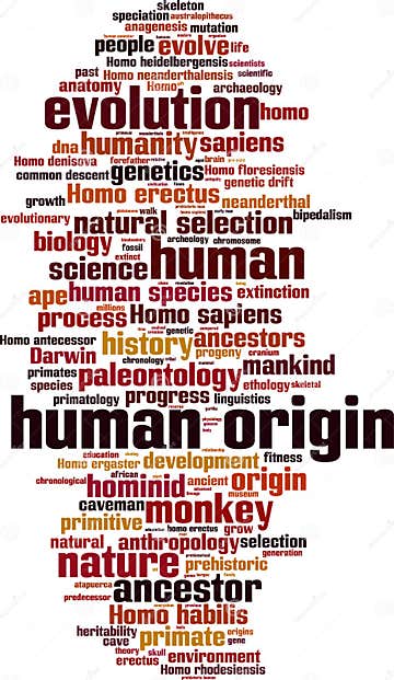 Human origin word cloud stock vector. Illustration of cloud - 206571490