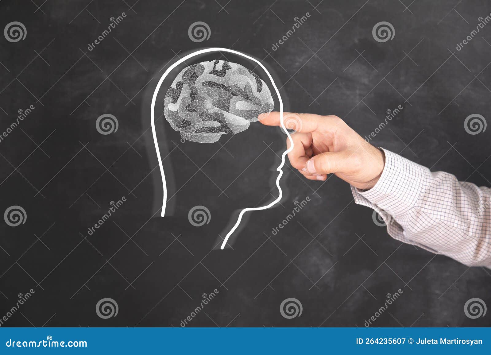 Human Outline and Brain from the Net Stock Image - Image of outline ...