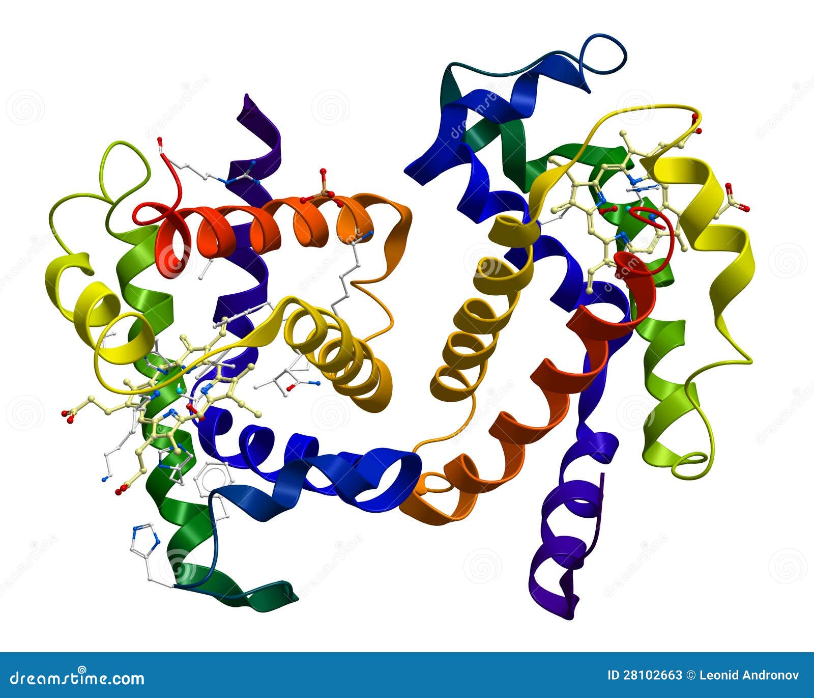 Human Oxyhemoglobin Molecular Structure Stock Illustration ...