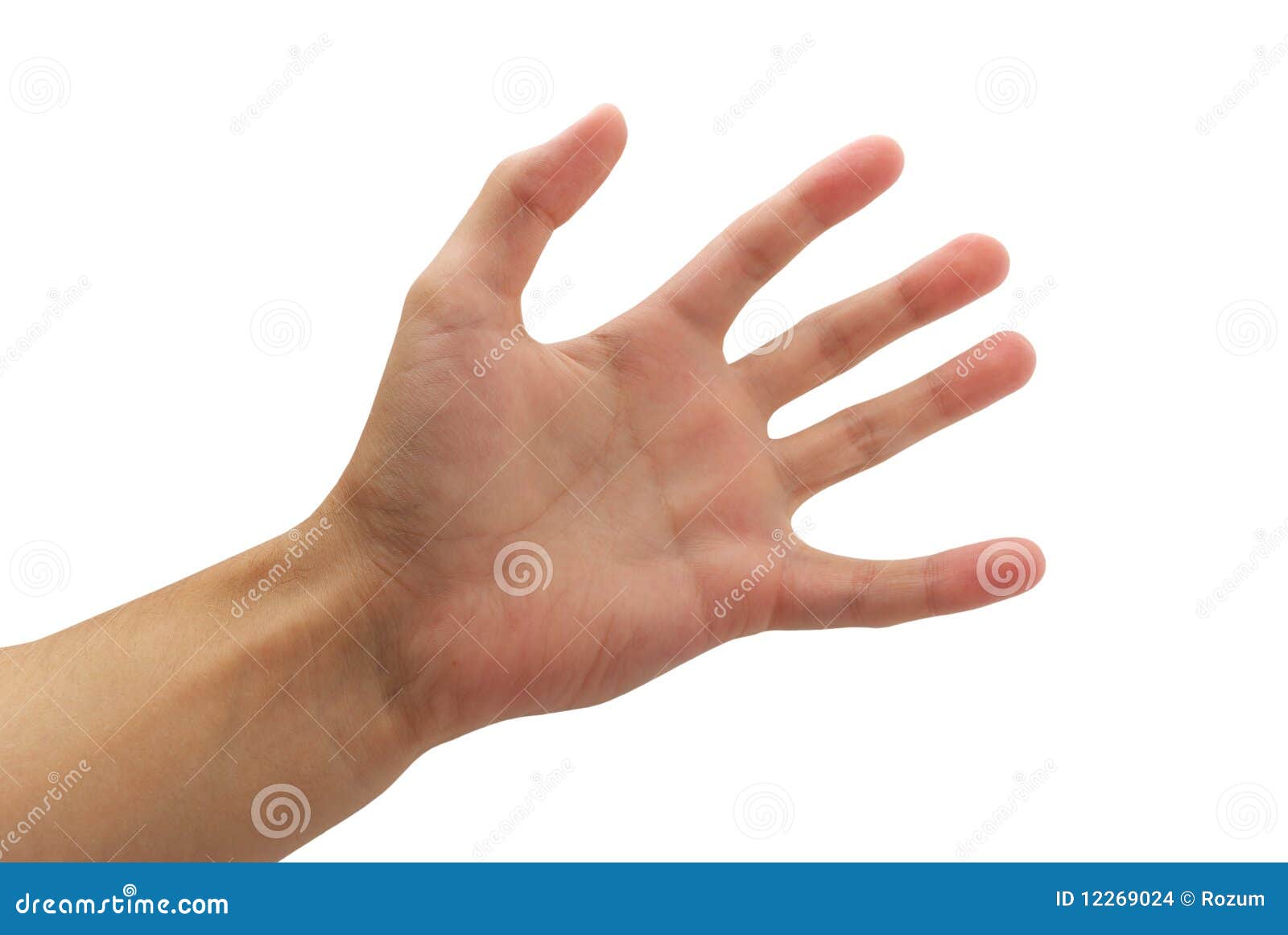 Human Palm Stock Photography | CartoonDealer.com #12269024