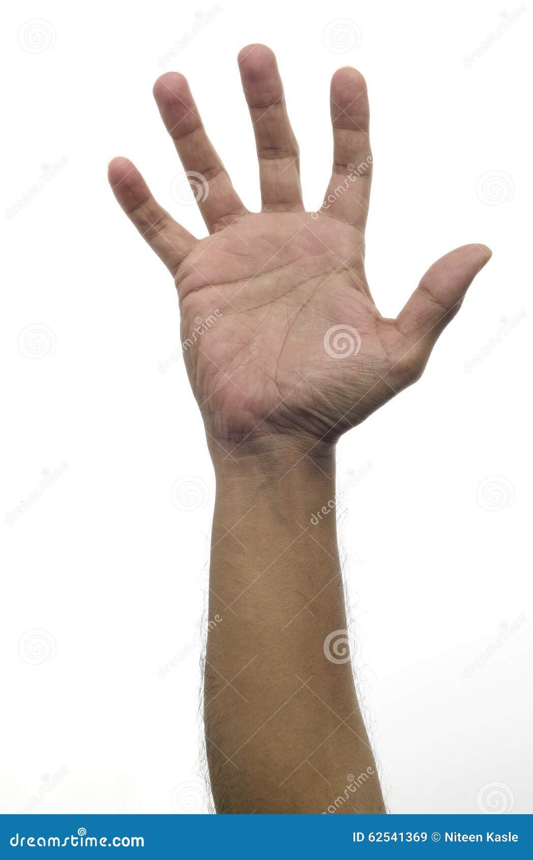 Human Palm stock image. Image of martial, grabbing, feeling - 62541369