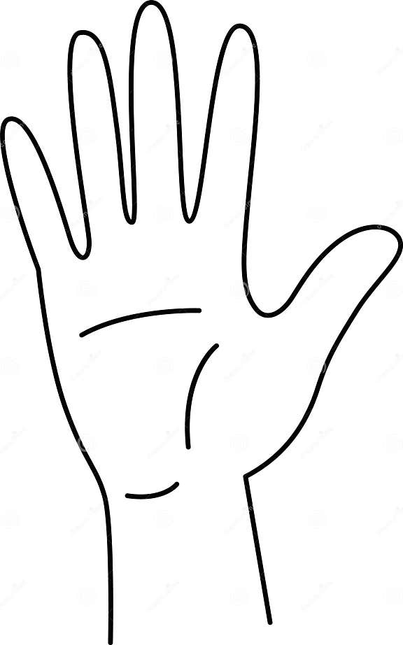 Human Palm Line Illustration Stock Illustration - Illustration of ...