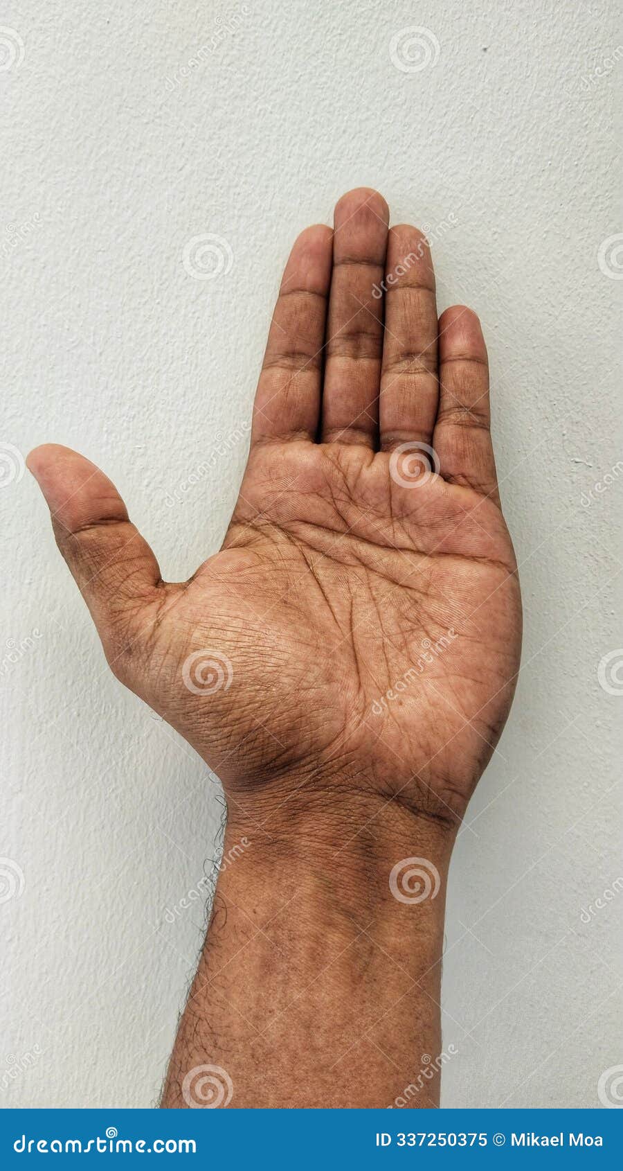 Human Palm stock image. Image of bones, muscles, human - 337250375