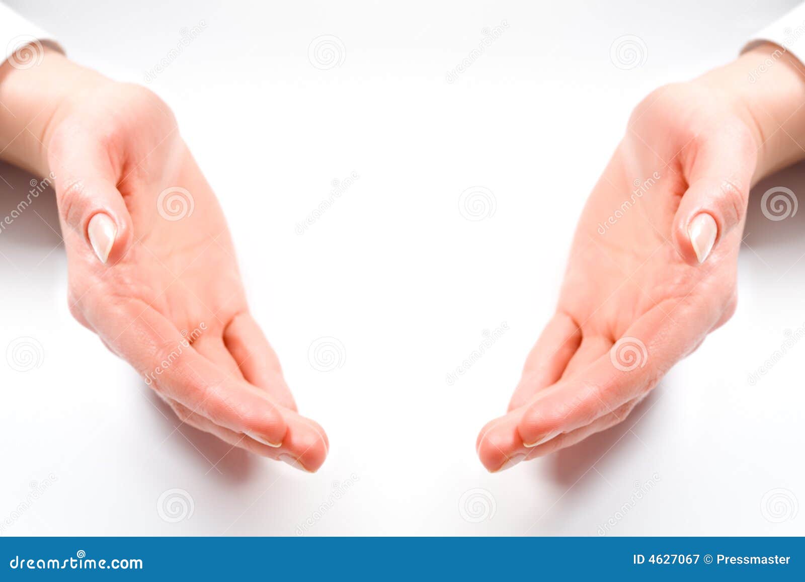 Human palms stock image. Image of hand, healthy, environment - 4627067