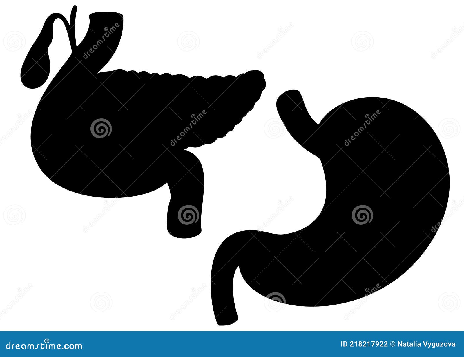 Human pancreas set. stock vector. Illustration of black - 218217922