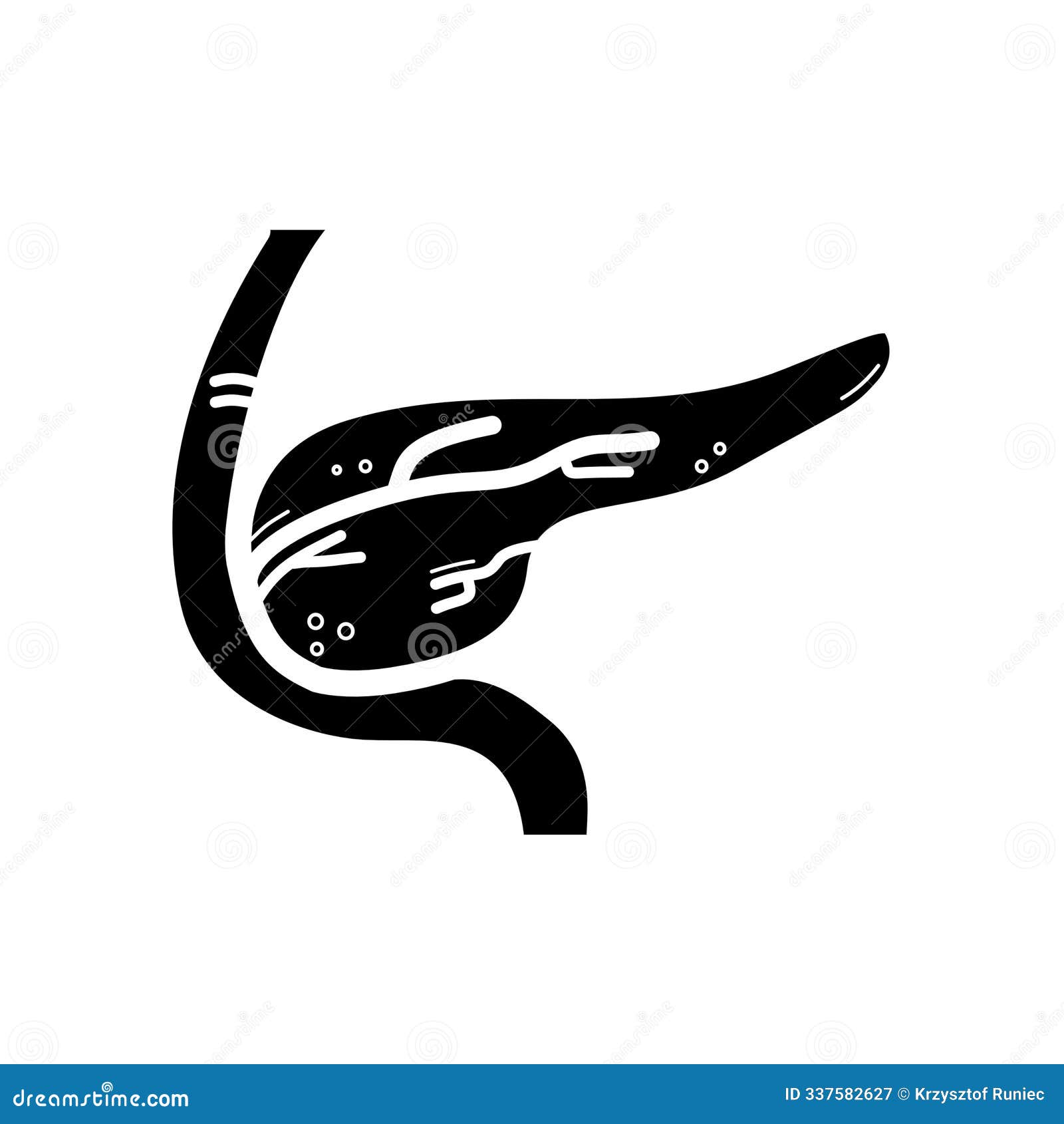 Human Pancreas - Vector Icon Stock Illustration - Illustration of ...