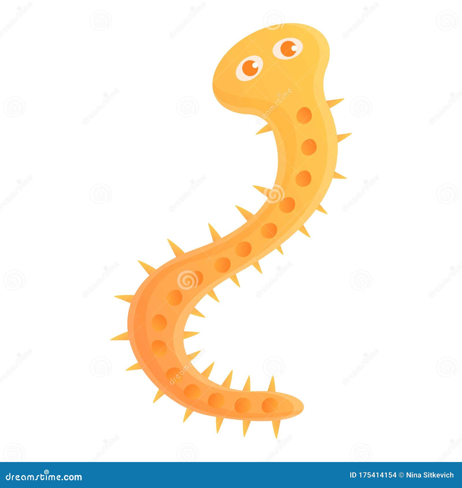 Human Parasite Vector / Hookworm Whipworm Tapeworm Roundworm Coccidia ...