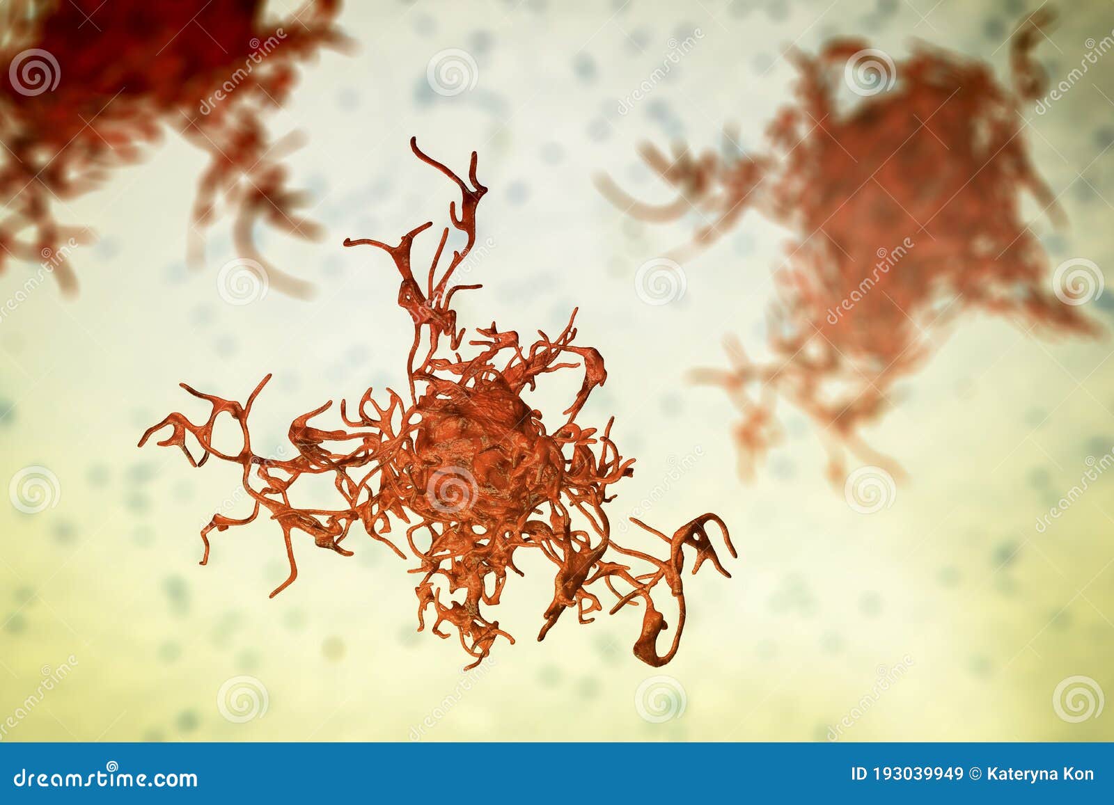 Human Parasitic Amoeba with Pseudopodia Stock Illustration ...