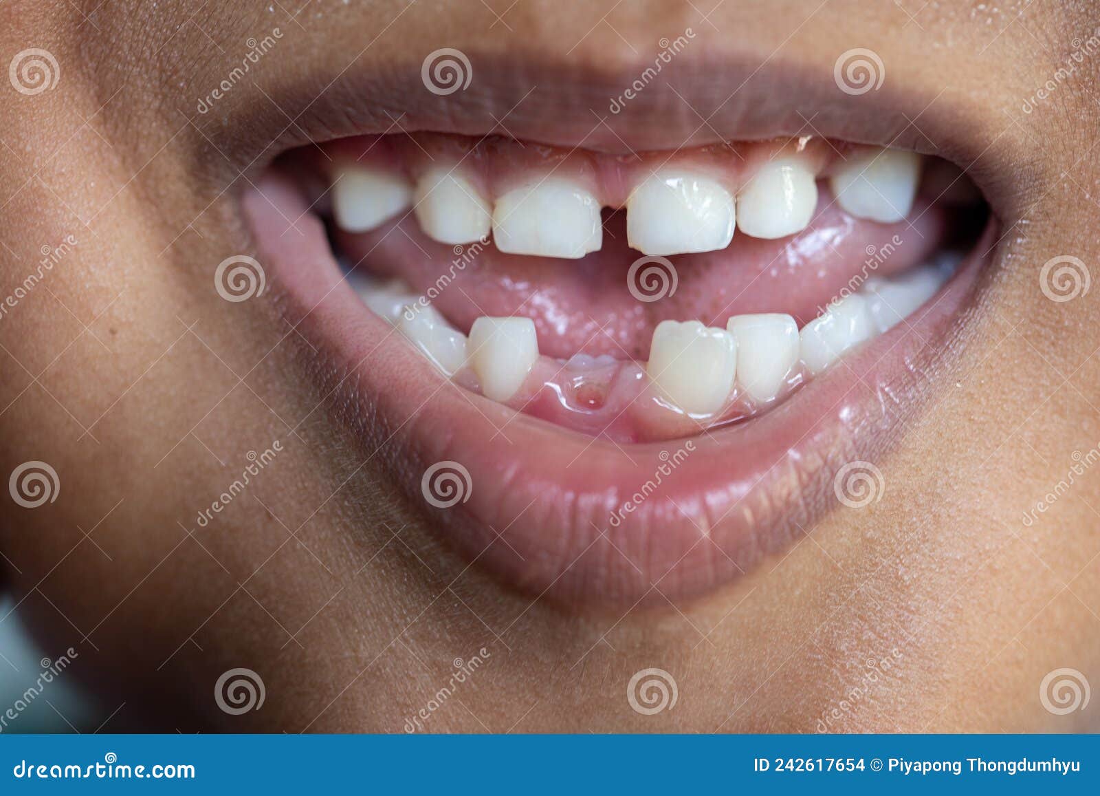 Human Parts Model in Science Lab. Stock Photo - Image of biology ...