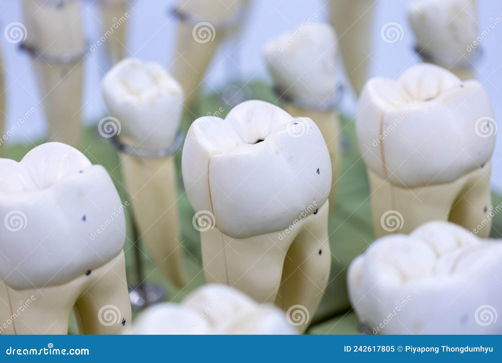 Human Parts Model in Science Lab. Stock Image - Image of education ...