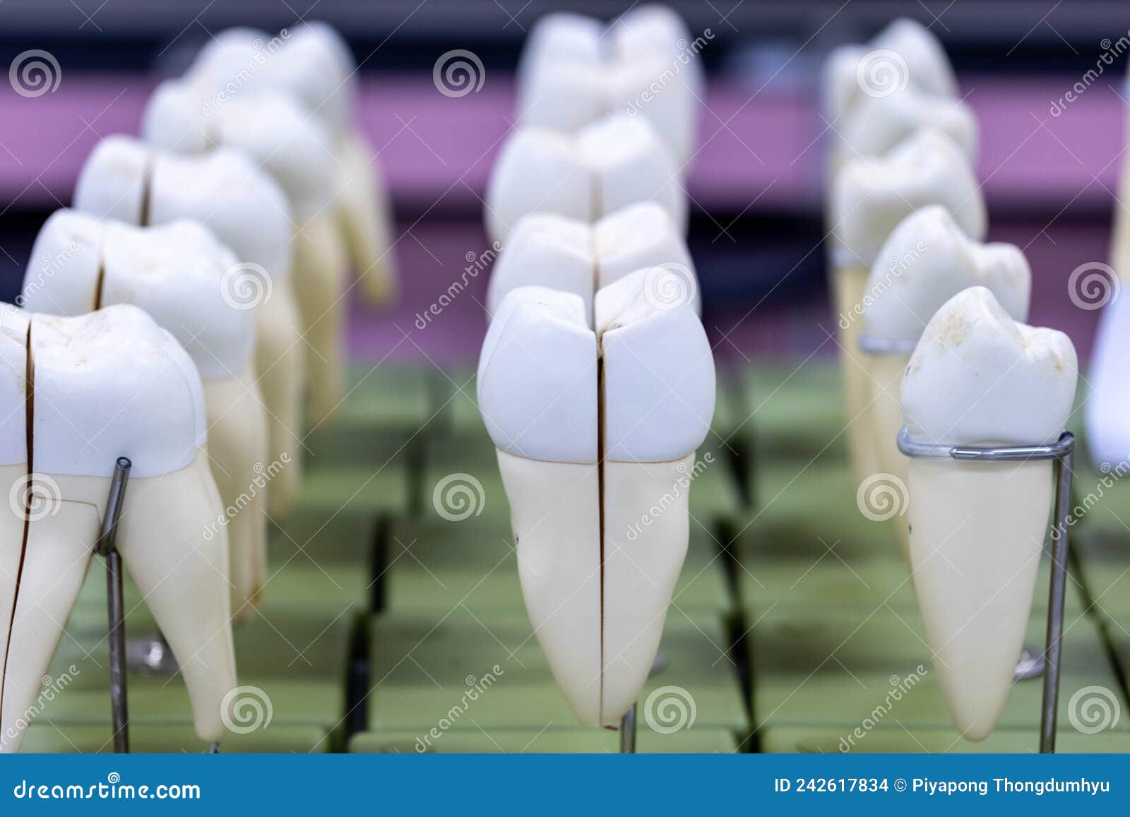 Human Parts Model in Science Lab. Stock Photo - Image of disease ...