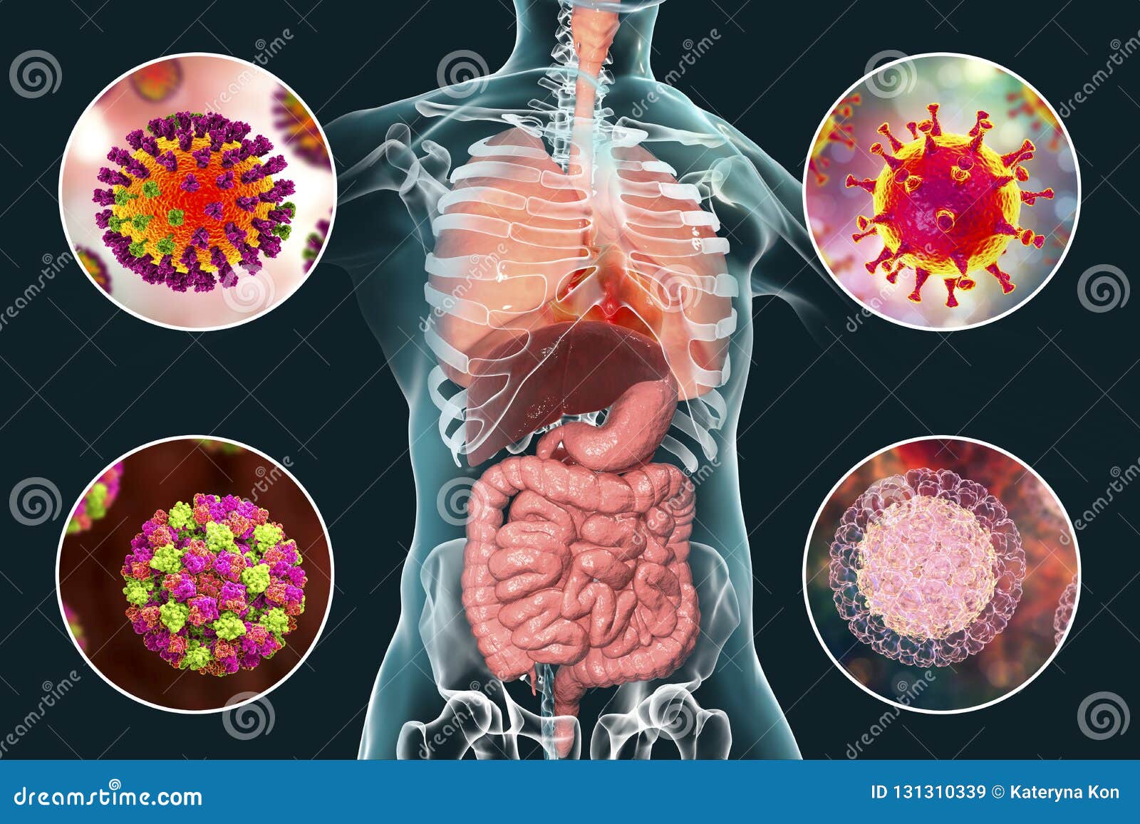 Human Pathogenic Viruses Causing Respiratory and Enteric Infections ...
