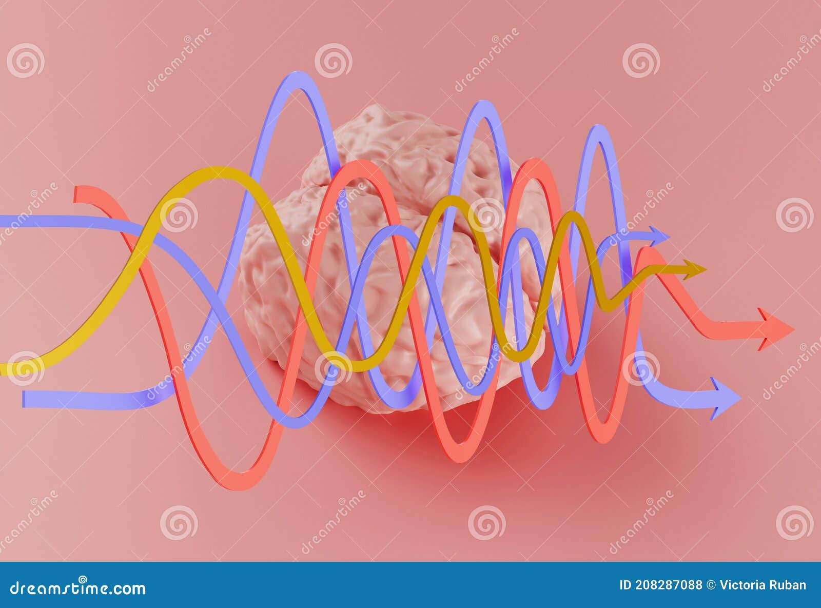 Human Pink Brain Model and Curved Arrows on Pink Background Stock ...