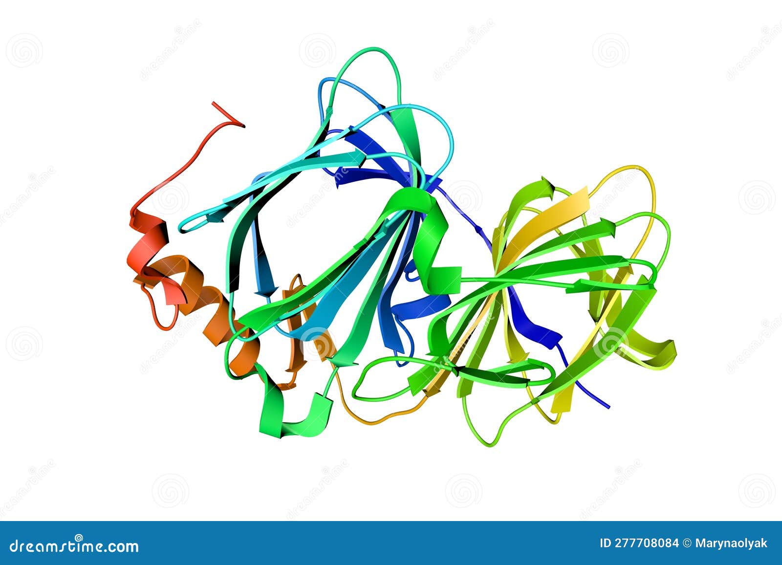 Human Pirin in Complex with Bisamide Compound 2. Ribbons Diagram ...
