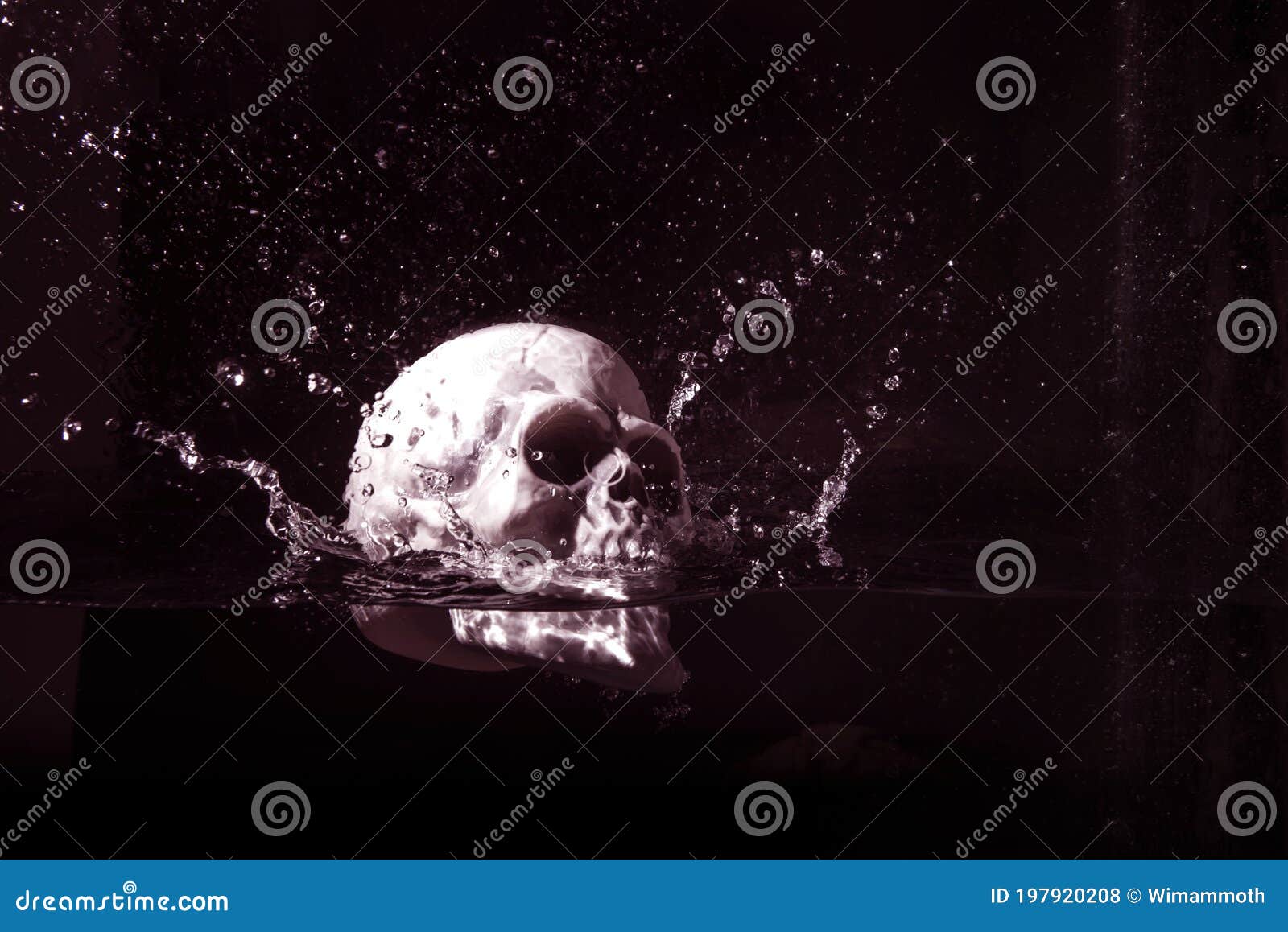 Human Plastic Skull Falling in Water Isolated on Black Background Stock ...