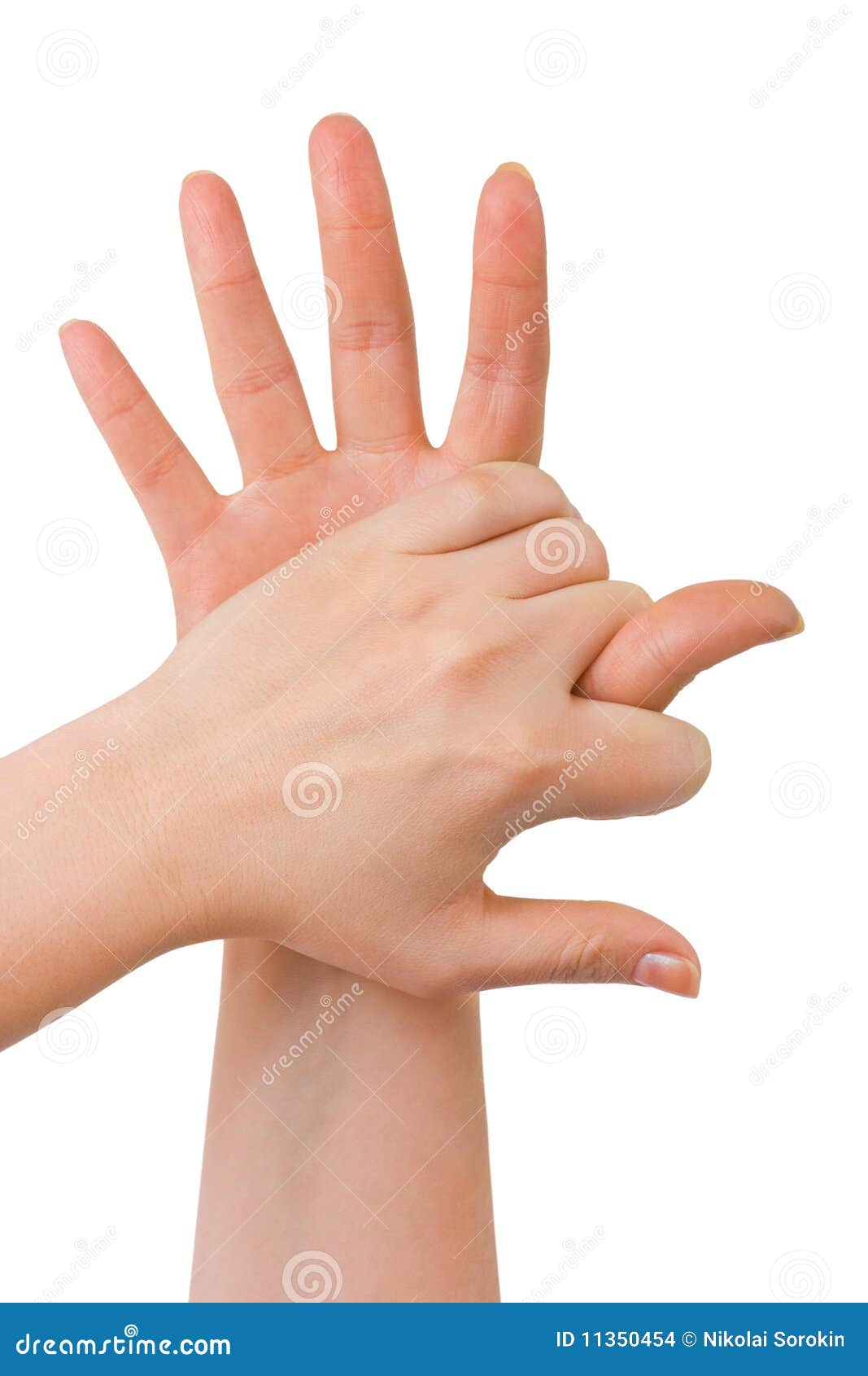 Human Profile Made Of Hands Stock Photo - Image of nose, cartoon: 11350454