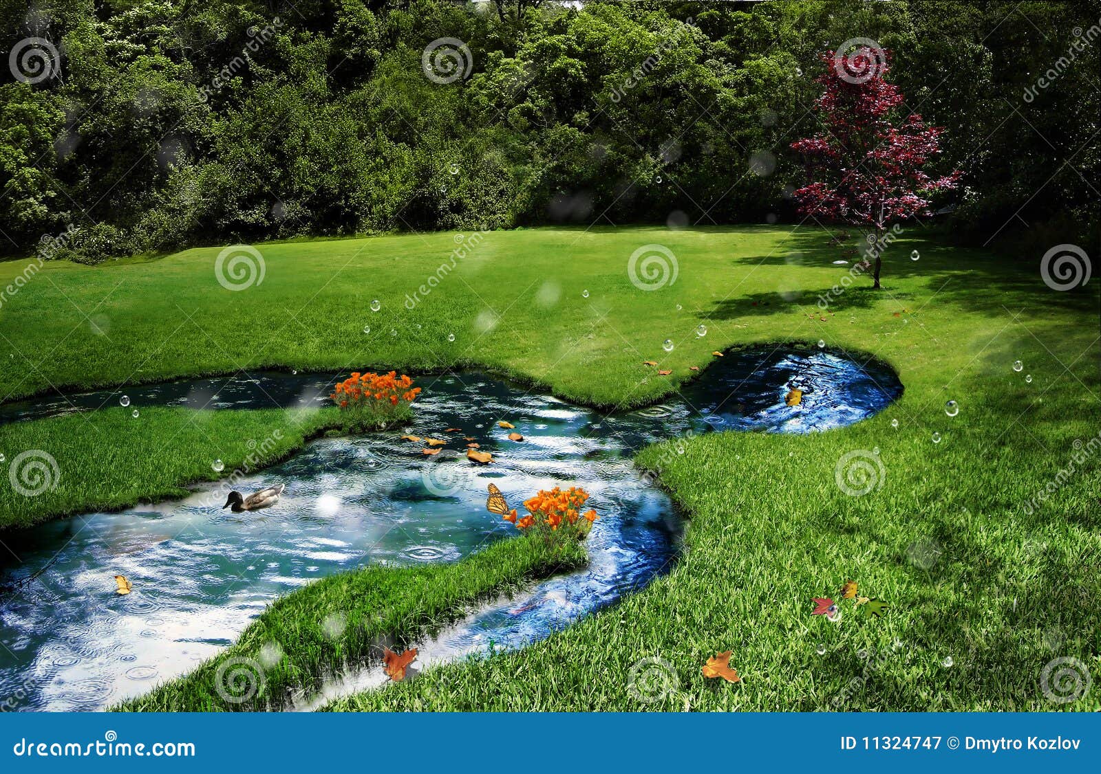 Human puddle stock image. Image of rainforest, people - 11324747