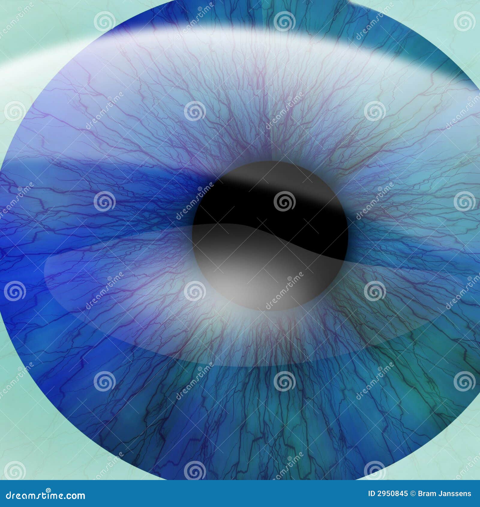 Human Pupil Eyeball Variations / Eye Color Types Illustration Cartoon ...