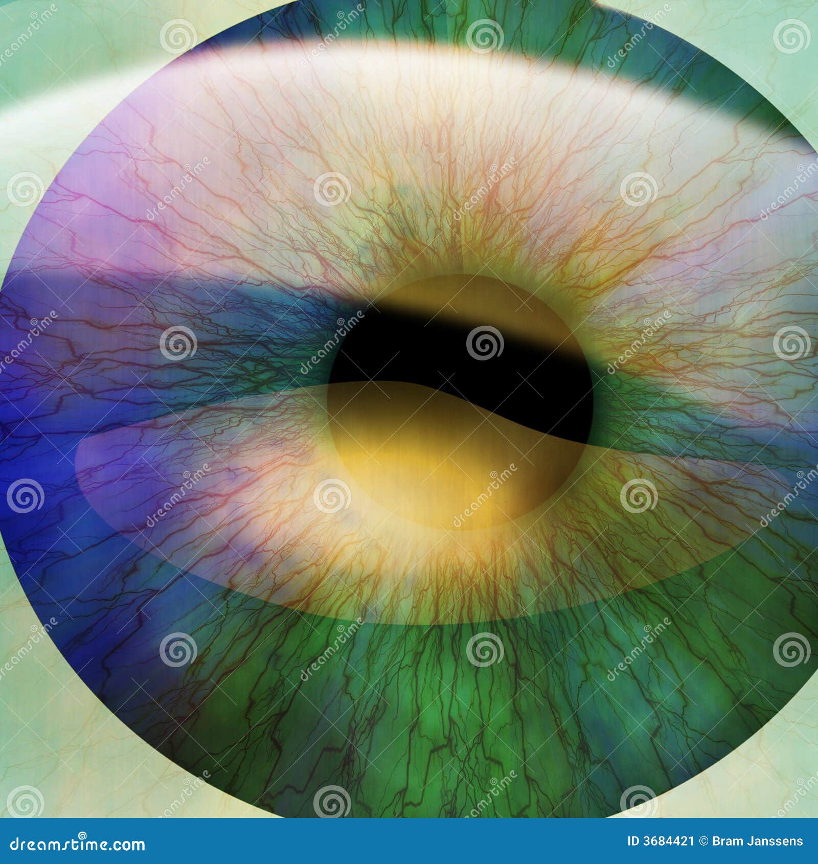 Human Pupil Eyeball Variations / Eye Color Types Illustration Cartoon ...