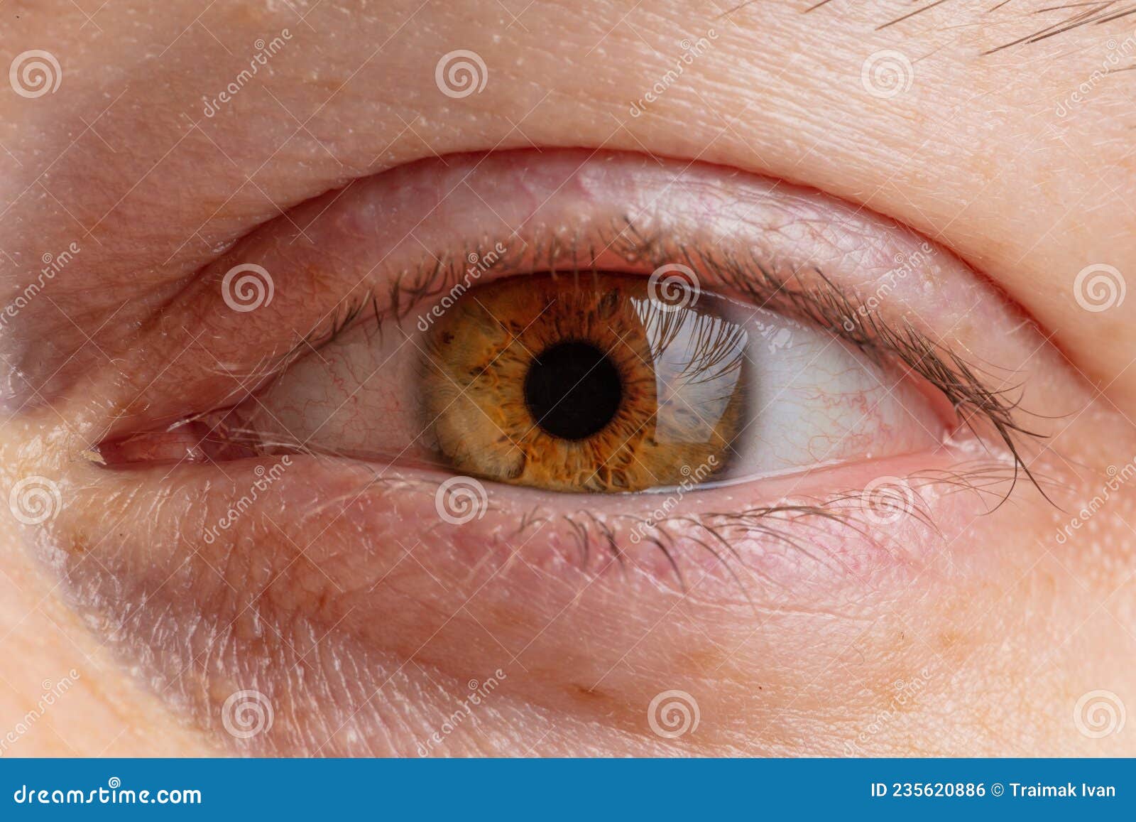 Human Pupil Close-up of Brown Color Stock Photo - Image of eyesight ...