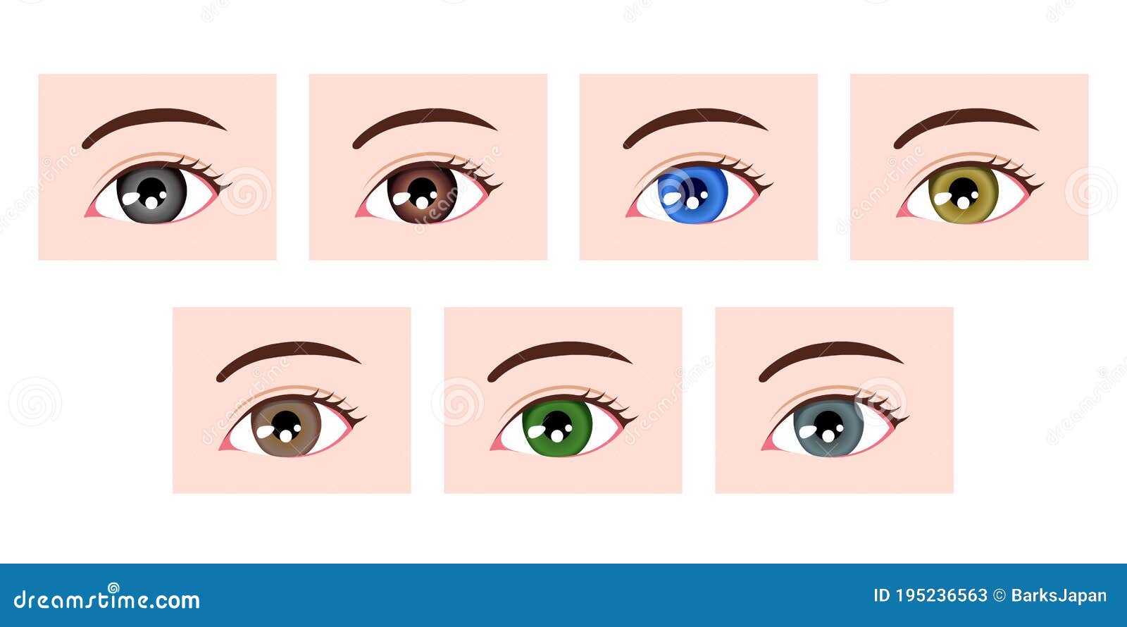 Human Pupil Eyeball Variations / Eye Color Types Illustration Stock ...