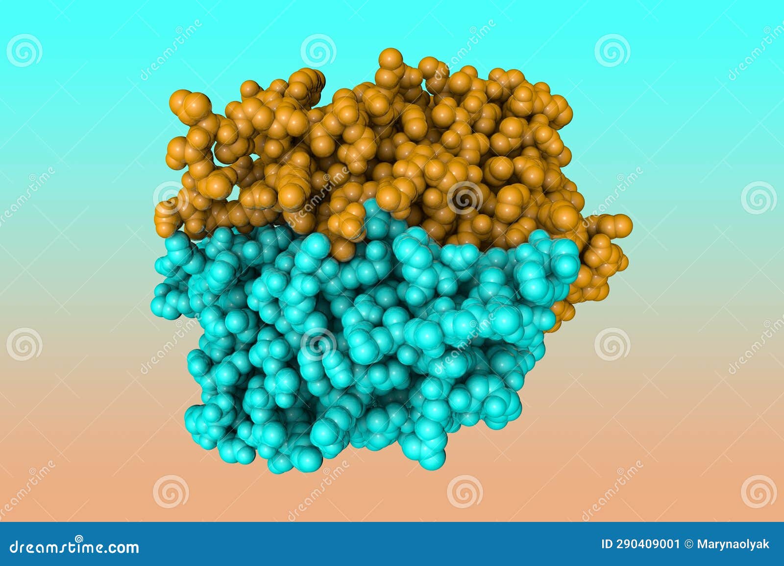 Human Quinone Reductase 2. Molecular Model. Rendering with Differently ...
