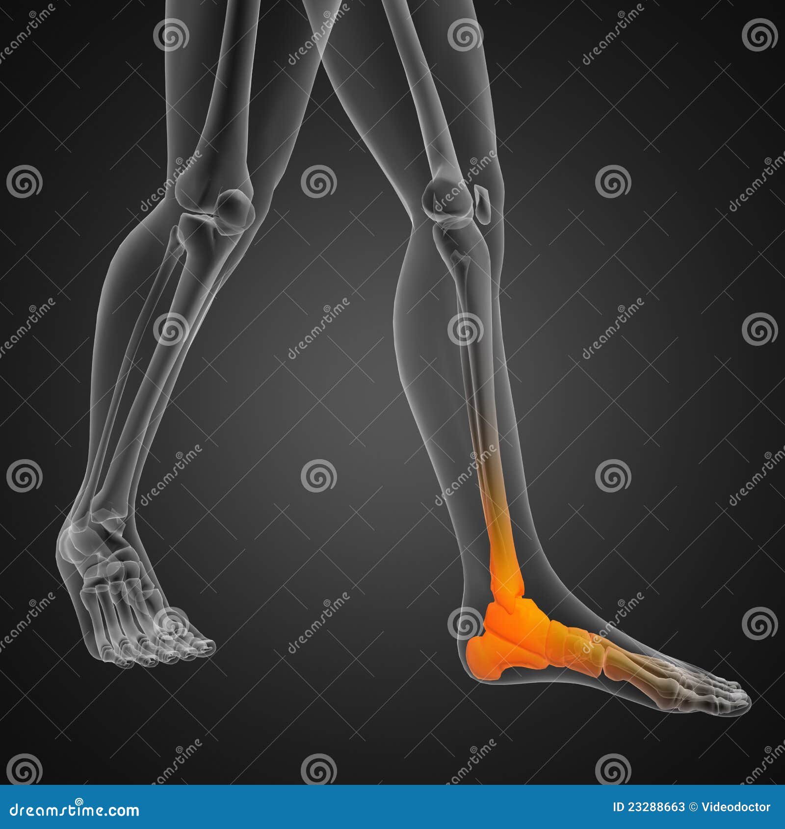 F1 Car Radiography Royalty-Free Stock Photography | CartoonDealer.com ...