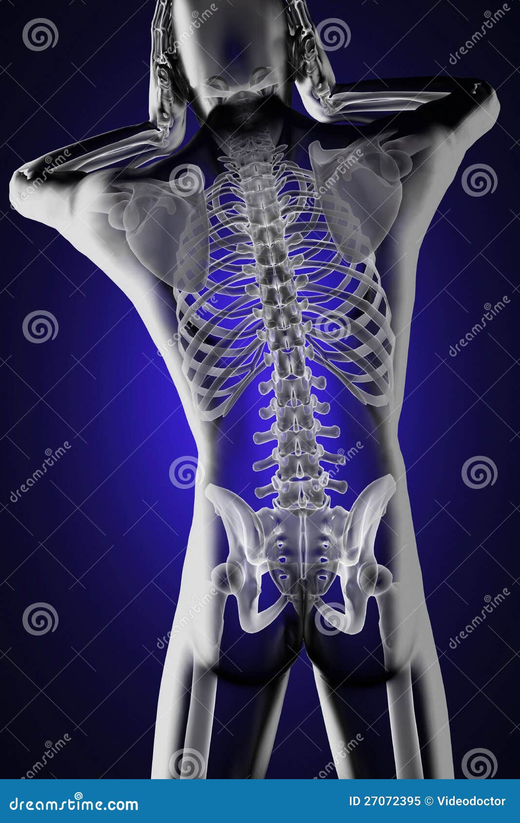 Human radiography scan stock illustration. Illustration of medical ...