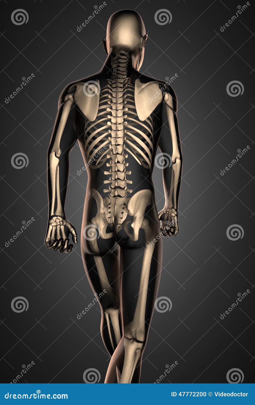 F1 Car Radiography Stock Photography | CartoonDealer.com #125653466