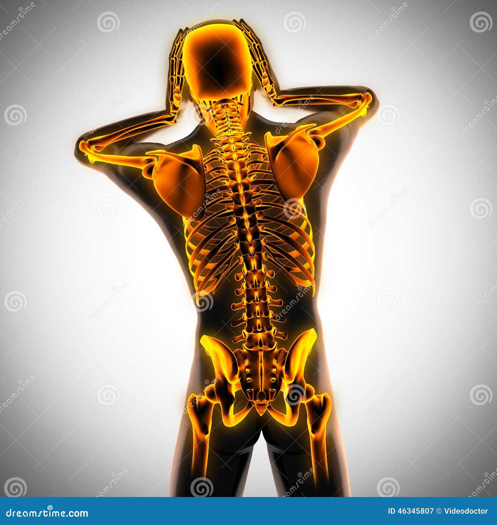 Human Radiography Scan with Glowing Bones Stock Illustration ...