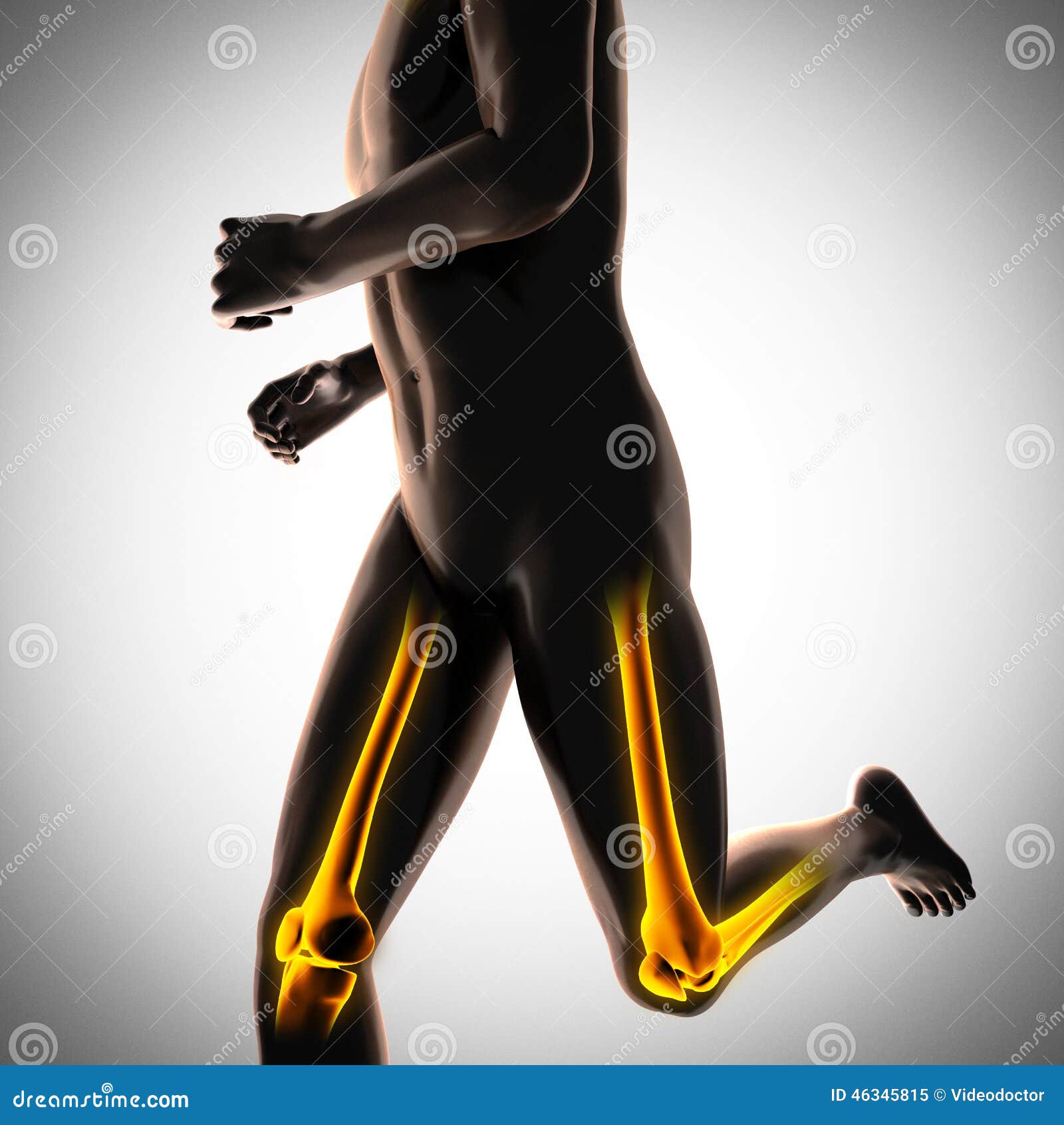 Human Radiography Scan with Glowing Bones Stock Illustration ...