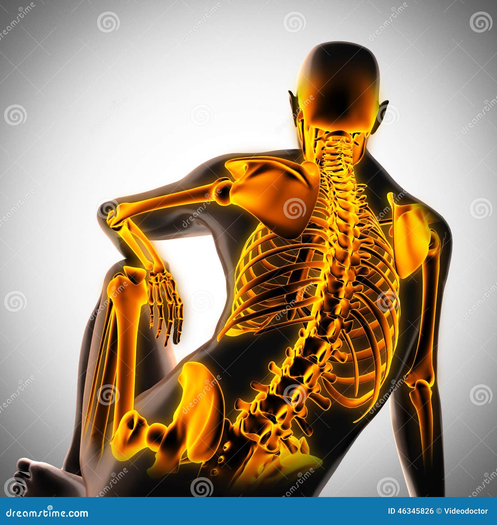 Human Radiography Scan with Glowing Bones Stock Illustration ...