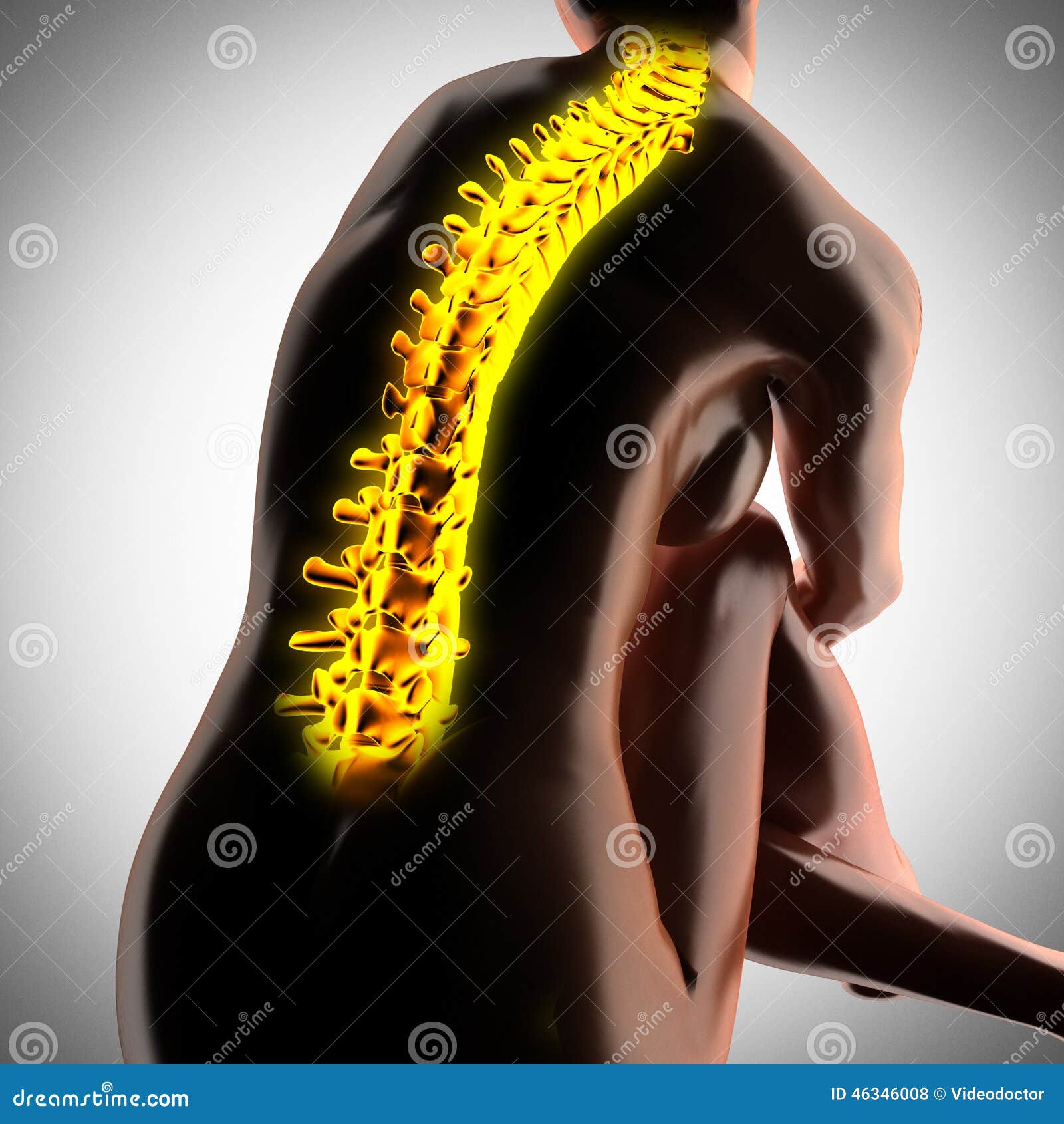 Human Radiography Scan with Glowing Bones Stock Illustration ...
