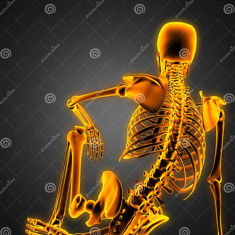 Human Radiography Scan with Glowing Bones Stock Illustration ...