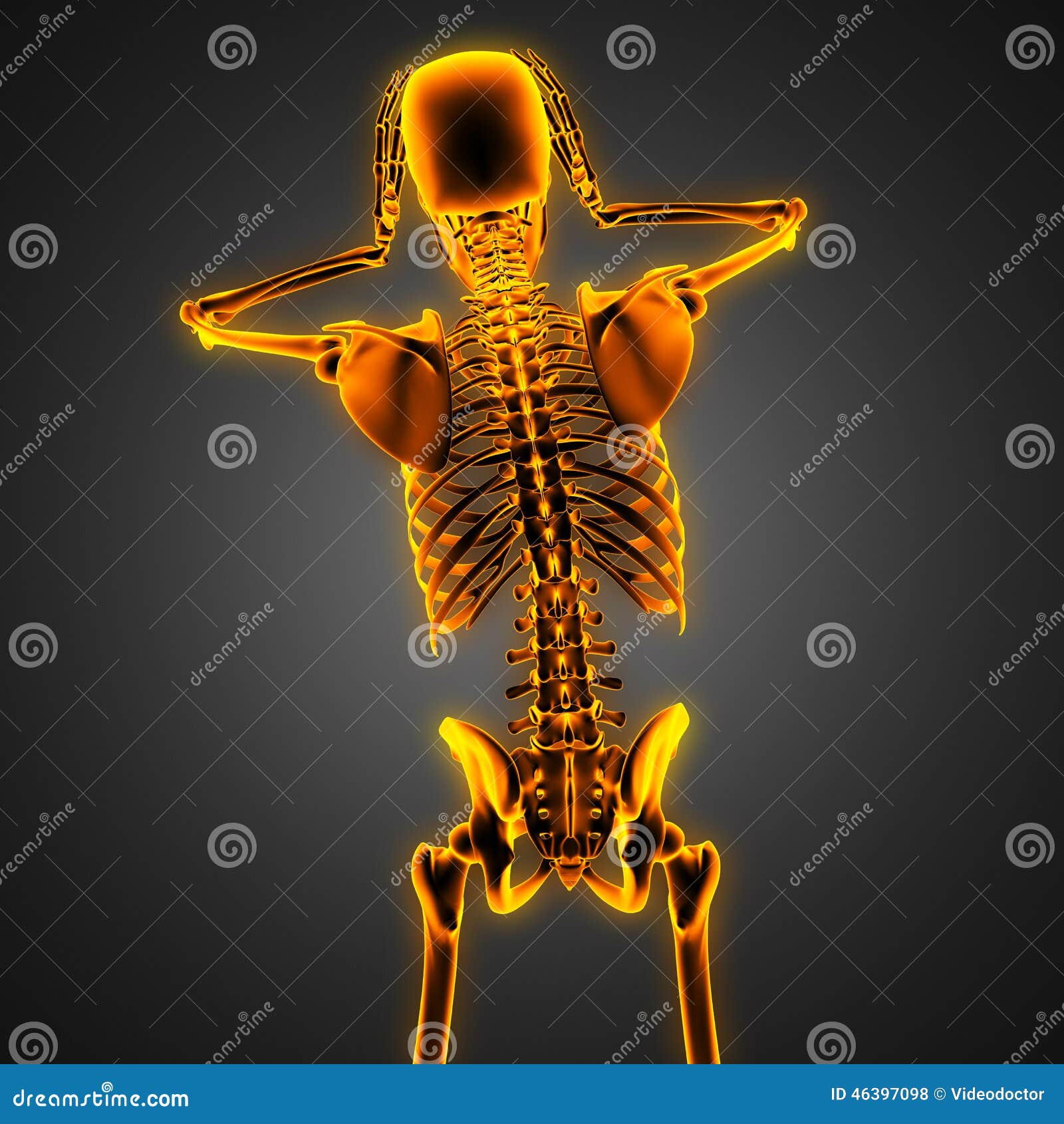 Human Radiography Scan with Glowing Bones Stock Illustration ...