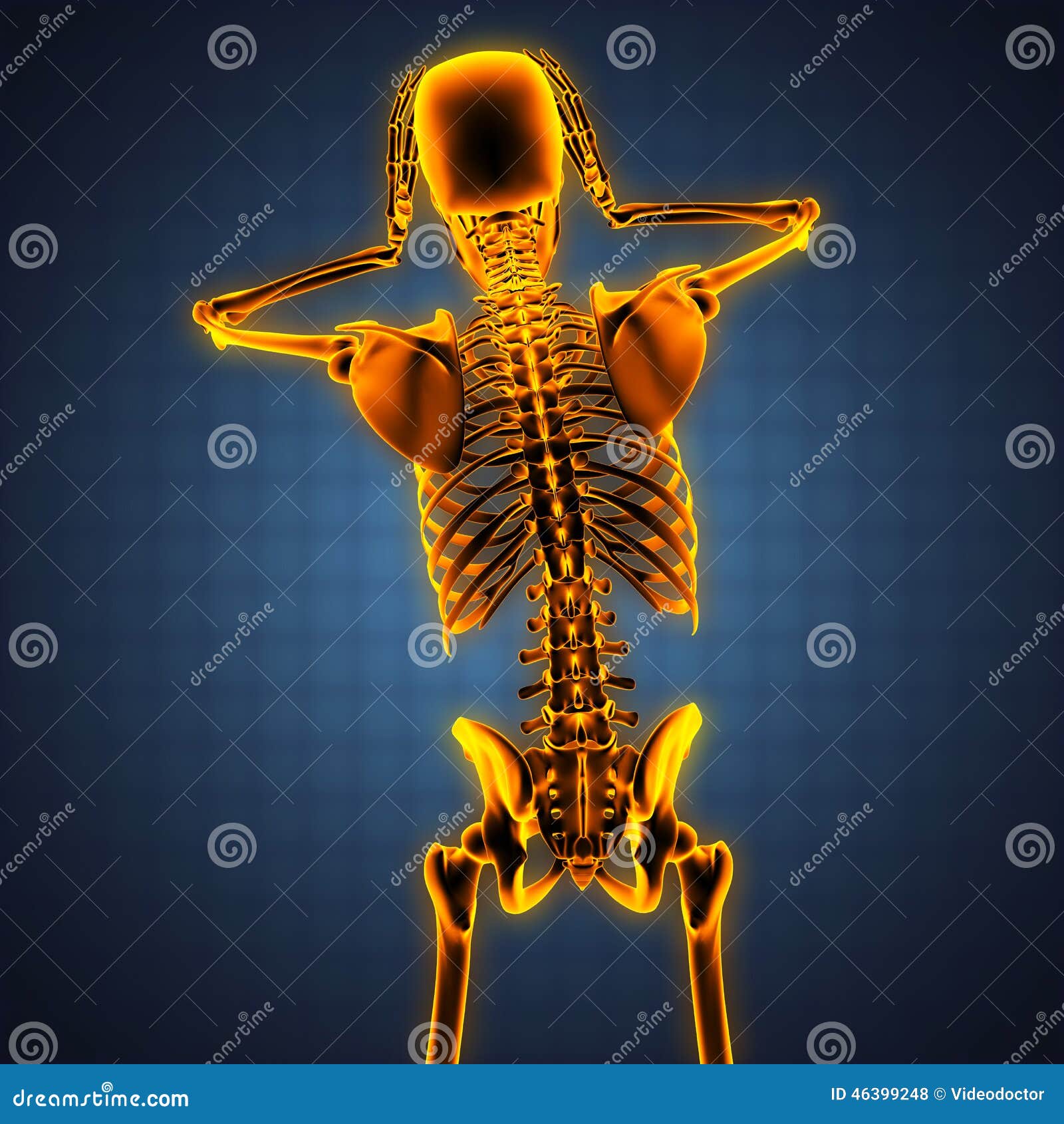 Human Radiography Scan with Glowing Bones Stock Illustration ...