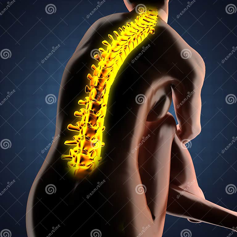 Human Radiography Scan with Glowing Bones Stock Illustration ...