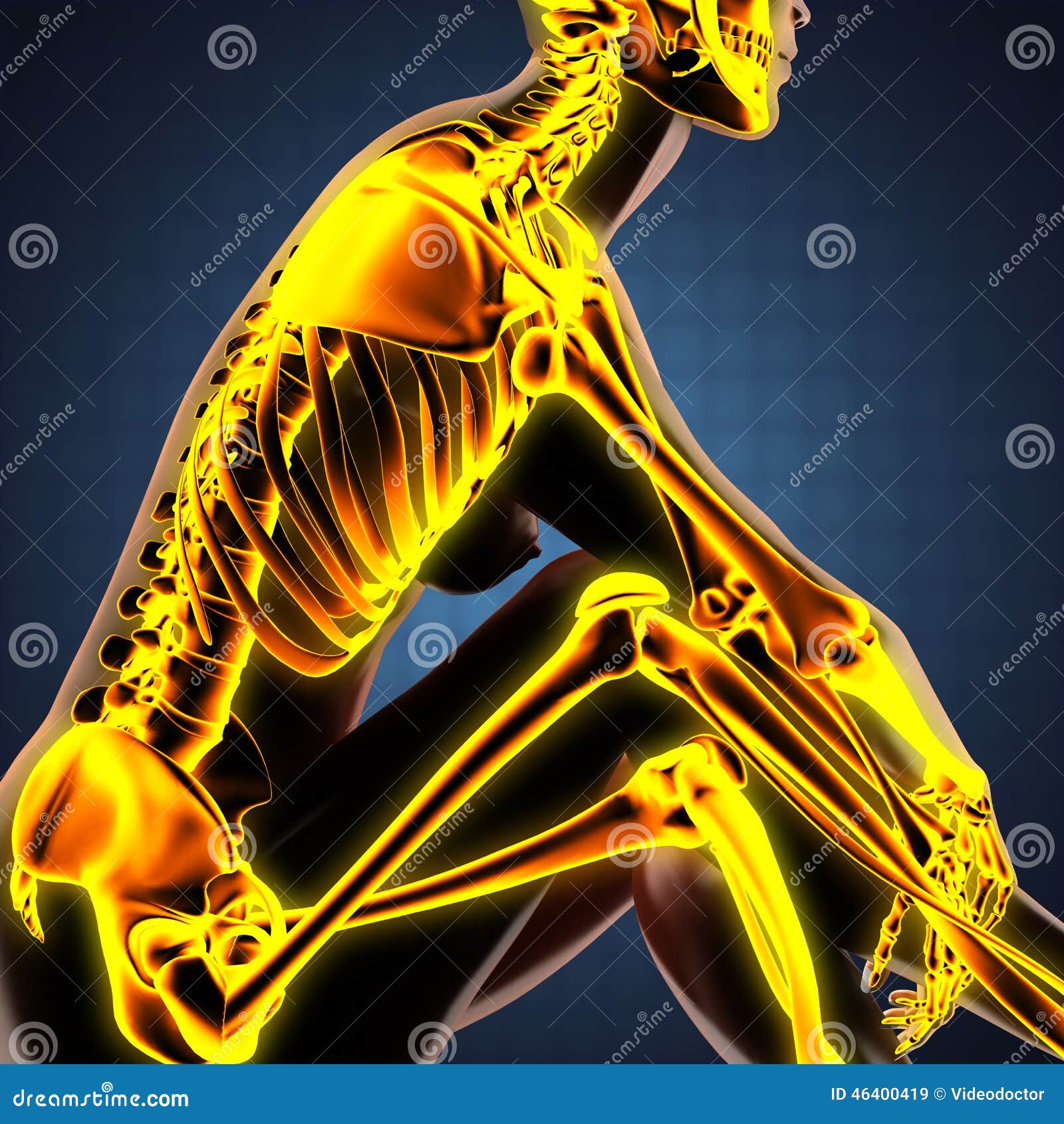 Human Radiography Scan with Glowing Bones Stock Illustration ...