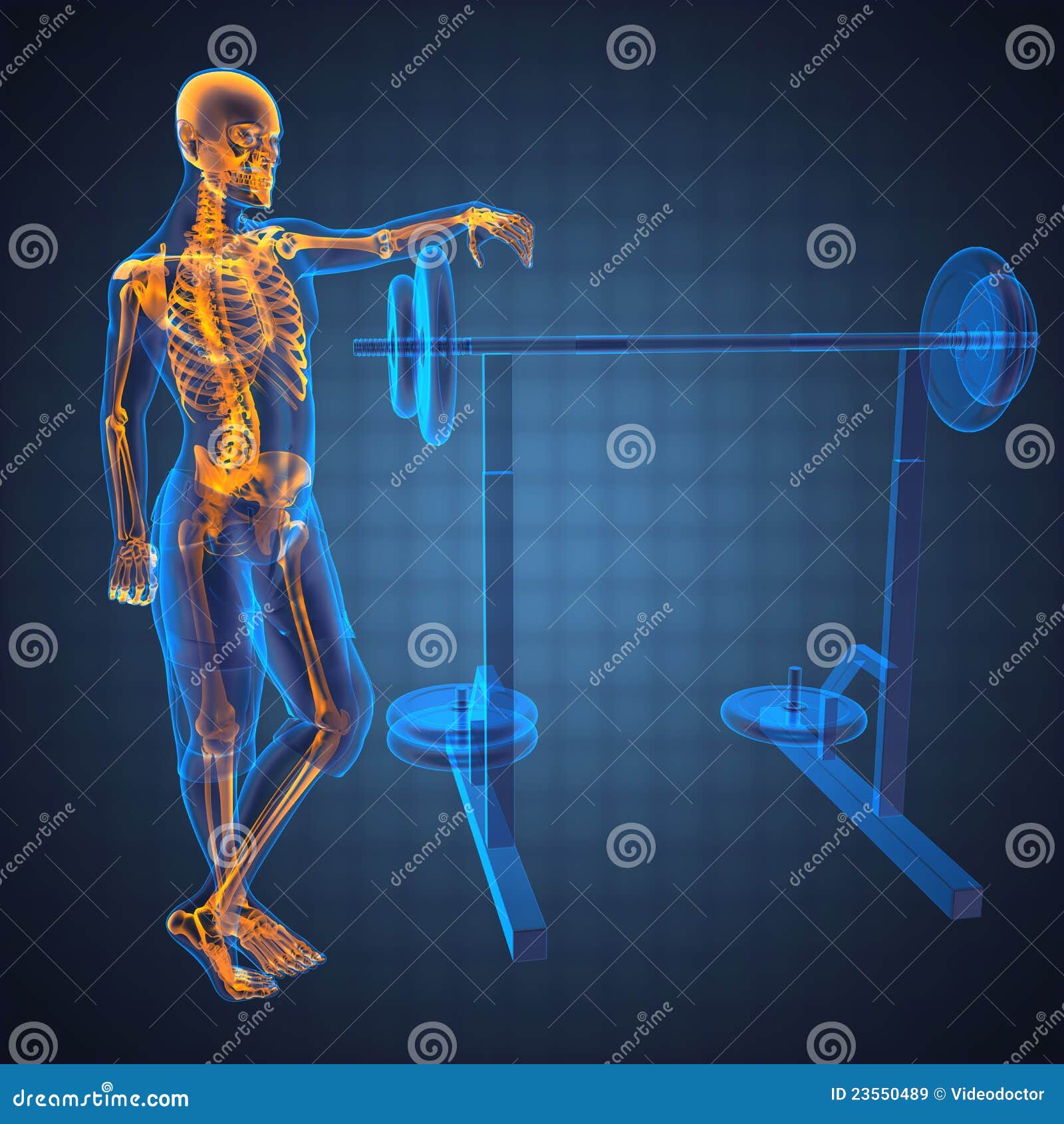 F1 Car Radiography Royalty-Free Stock Photography | CartoonDealer.com ...