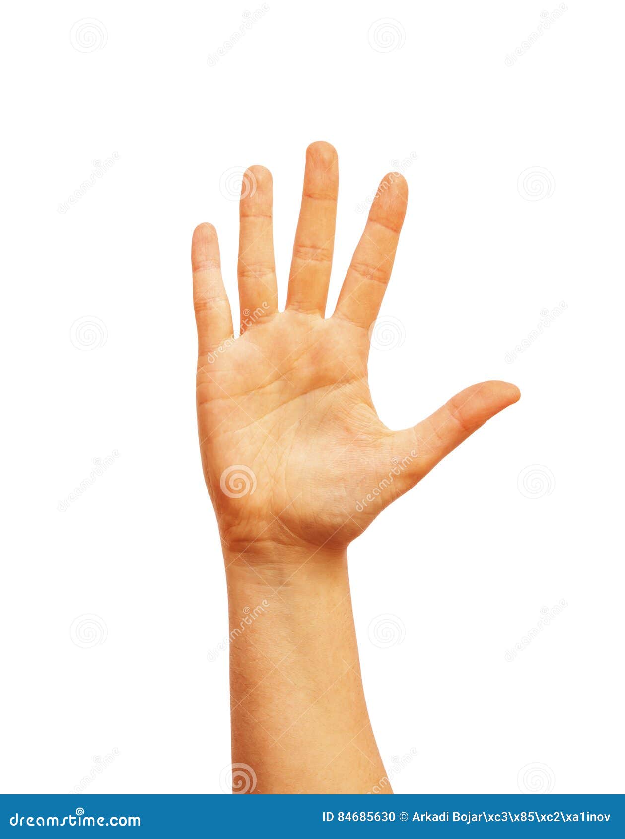 Human Raised Hand Isolated on White Stock Photo - Image of gesture ...