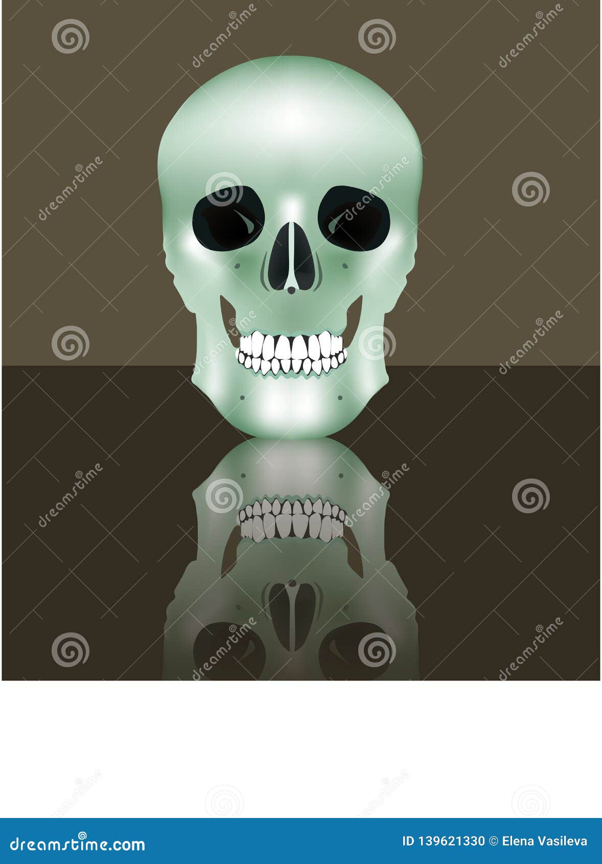 Human Realistic Skull in Full Face. Vector Illustration Stock Vector ...