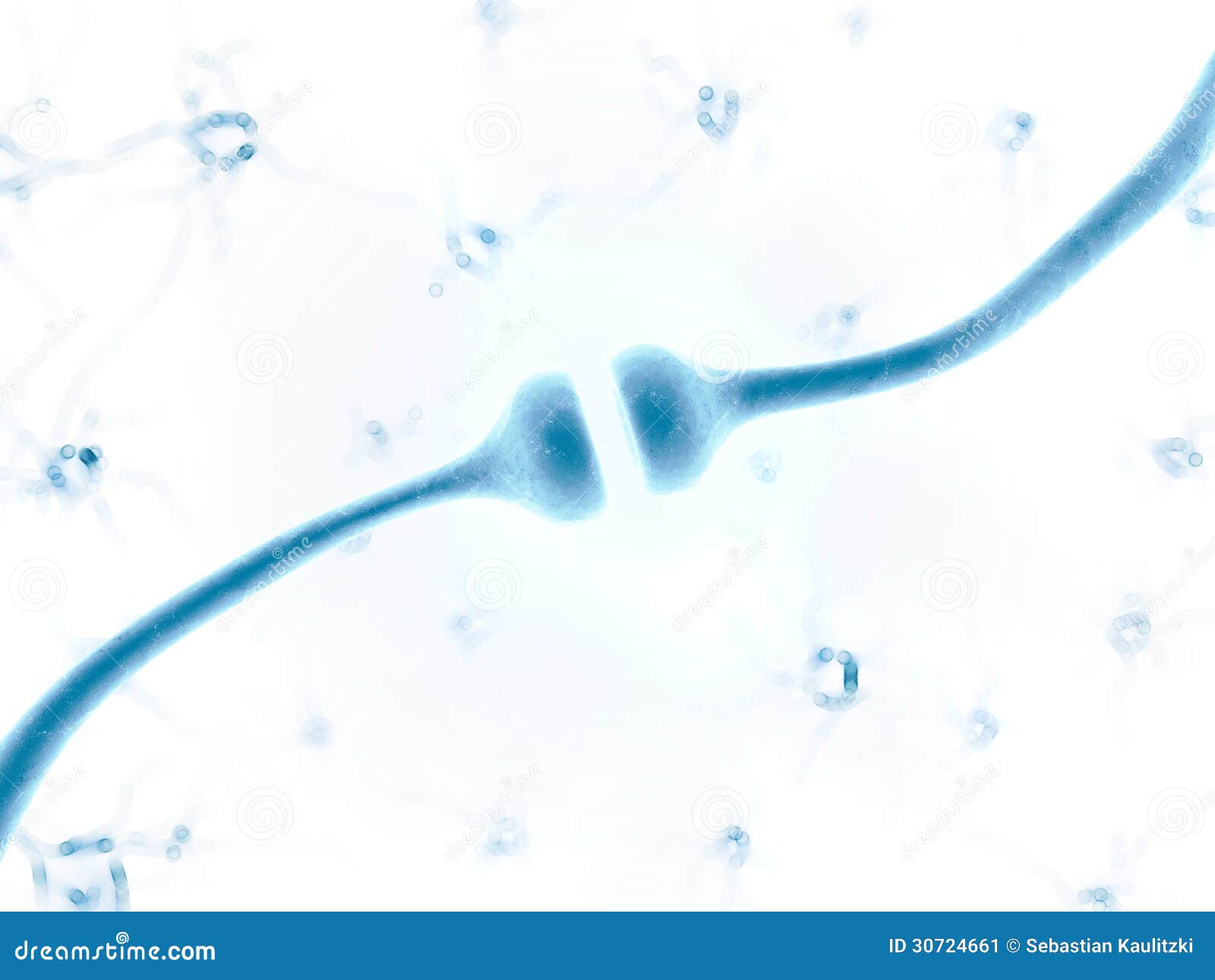 Human Receptor Chart Vertical Infographic Royalty-Free Cartoon ...